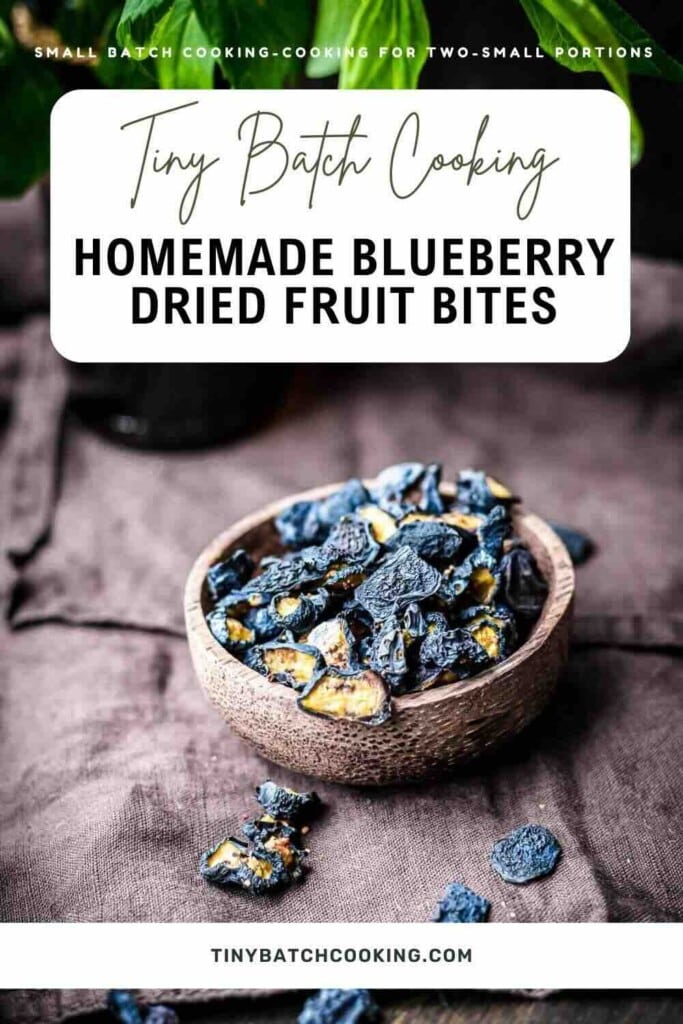 Homemade Blueberry Dried Fruit Bites - Tiny Batch Cooking