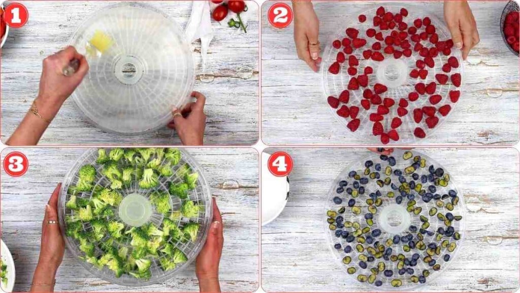 Food Dehydrator Recipes - Tiny Batch Cooking