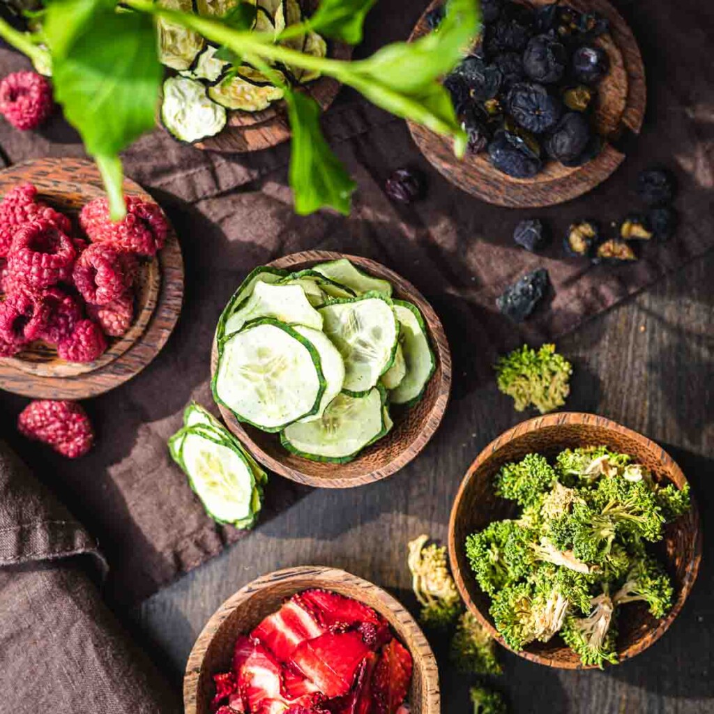 Food Dehydrator Recipes - Tiny Batch Cooking