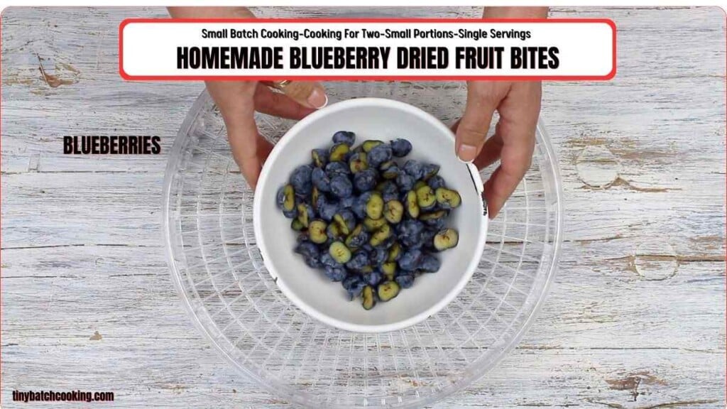 Homemade Blueberry Dried Fruit Bites - Tiny Batch Cooking