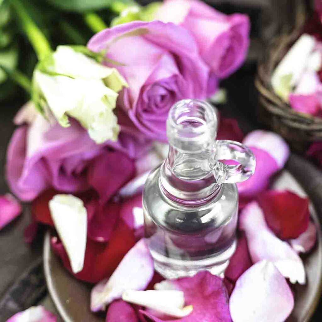 Homemade Rose Water - Tiny Batch Cooking