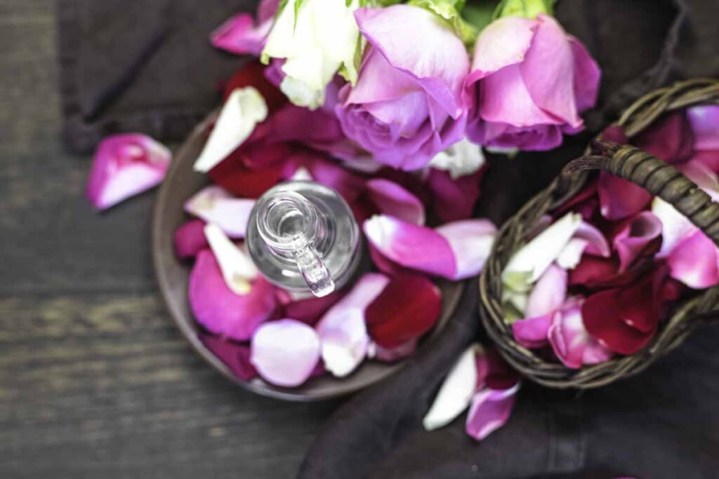 Homemade Rose Water - Tiny Batch Cooking