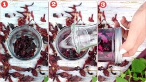 Iced Karkade Tea Recipe - Tiny Batch Cooking