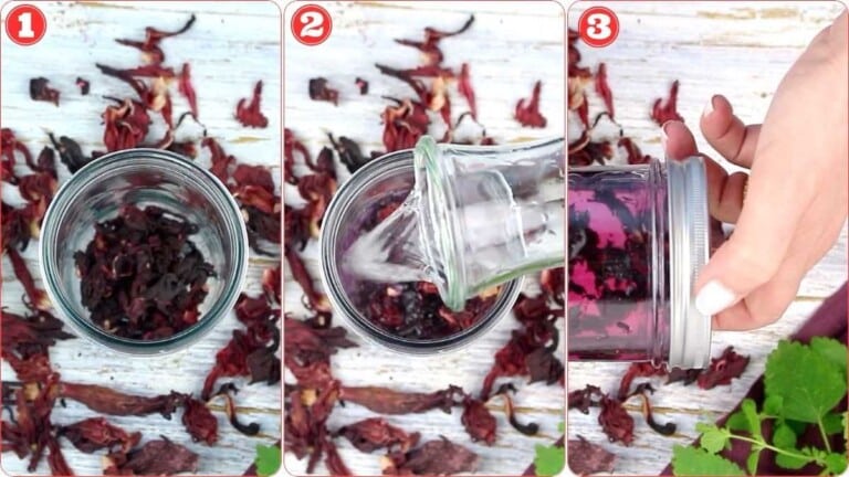 Iced Karkade Tea Recipe - Tiny Batch Cooking