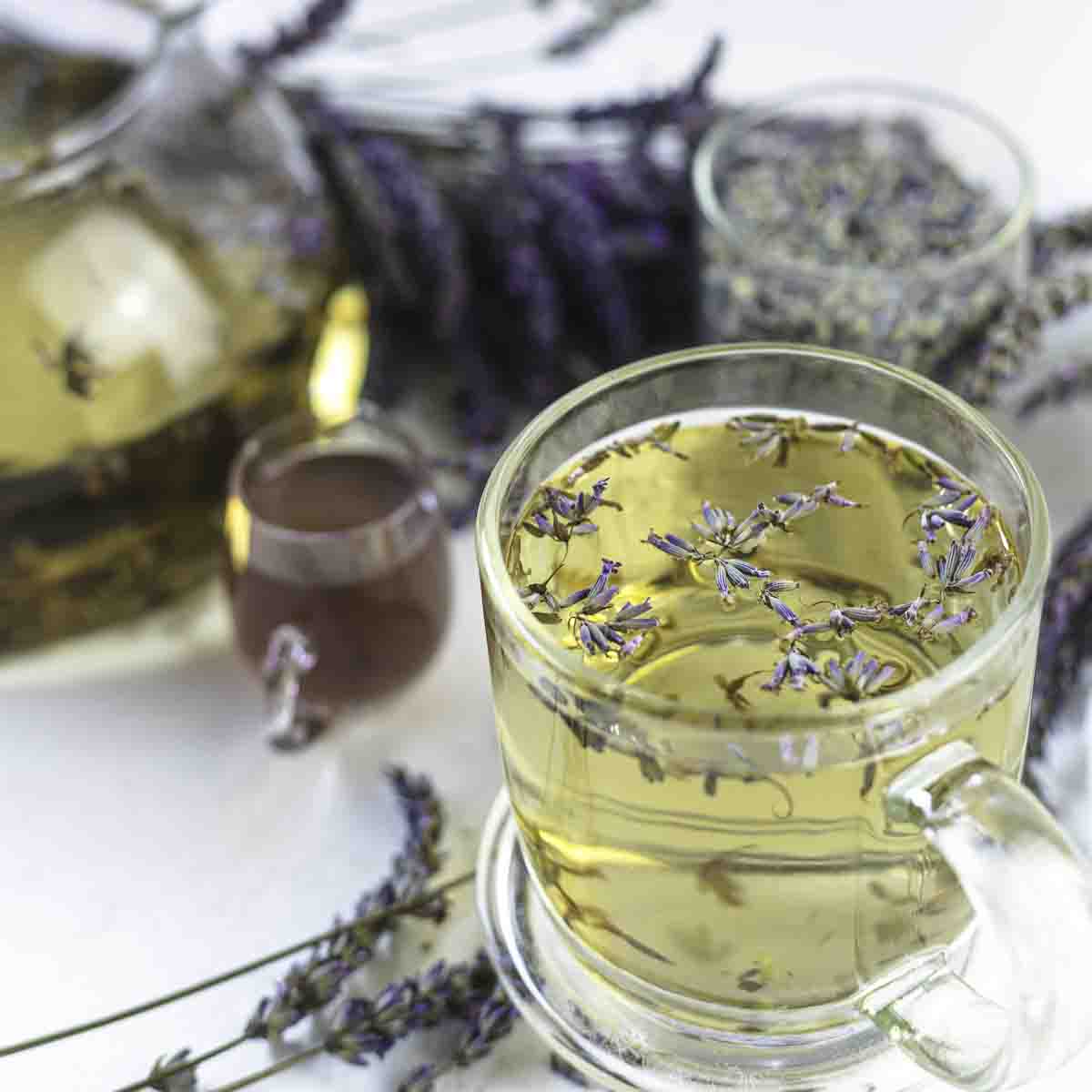 Home - Tiny Batch Cooking