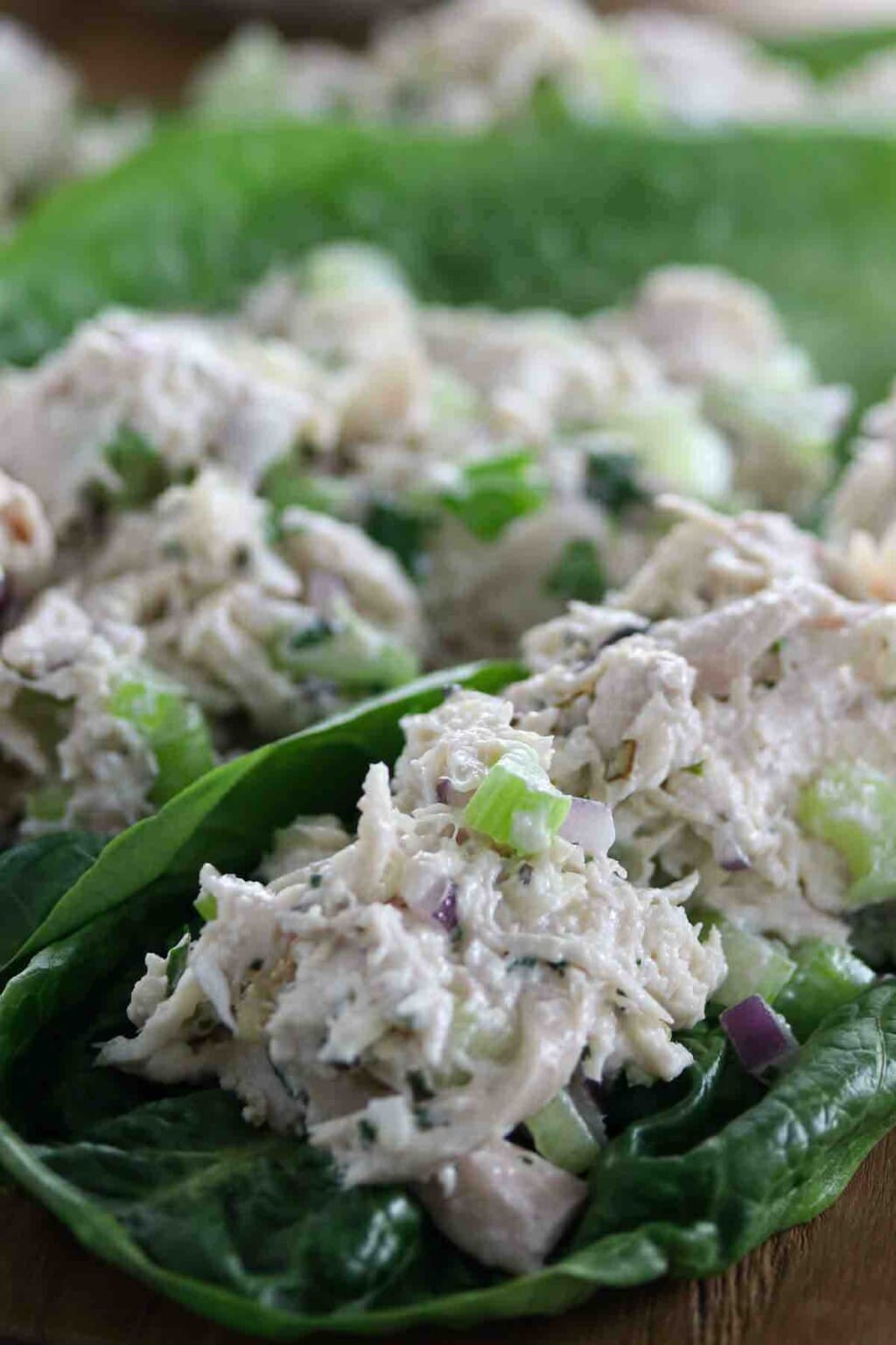 Small Batch Mayo Salad with Chicken - Tiny Batch Cooking